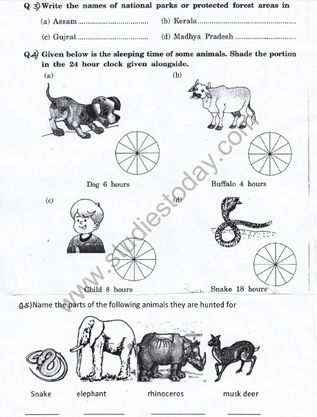 CBSE Class 5 EVS Super Senses Worksheet Set A